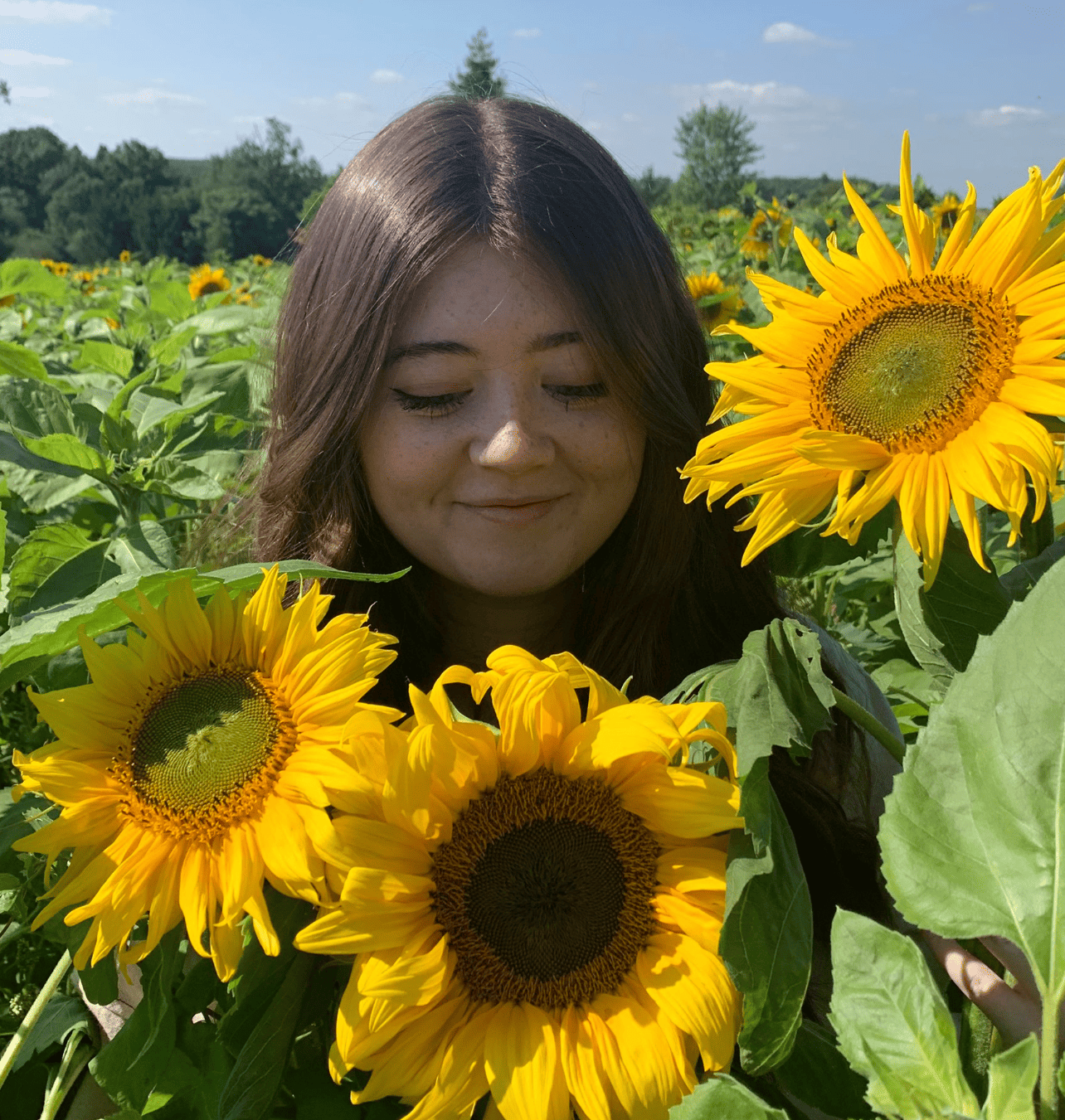 Lucy Scanlon - Web Developer